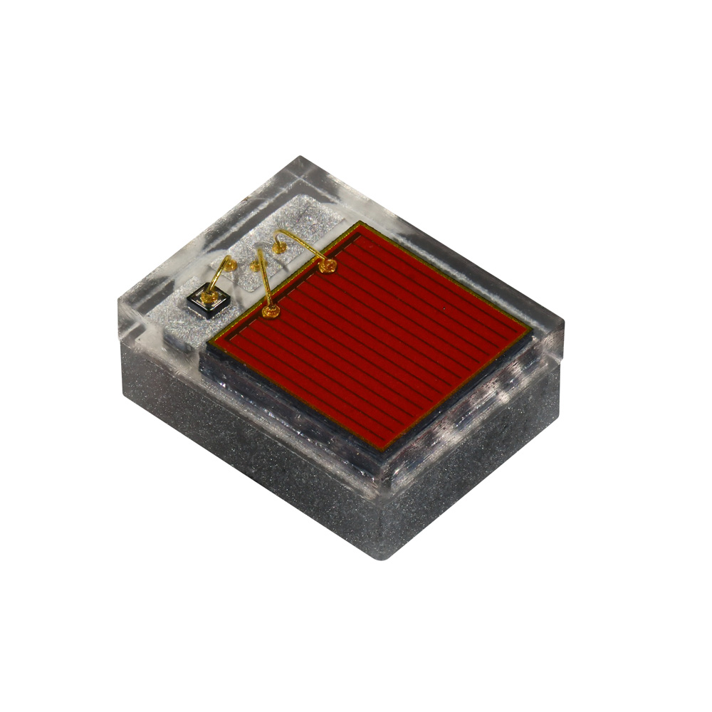 XLamp® Element LEDs - Cree LED