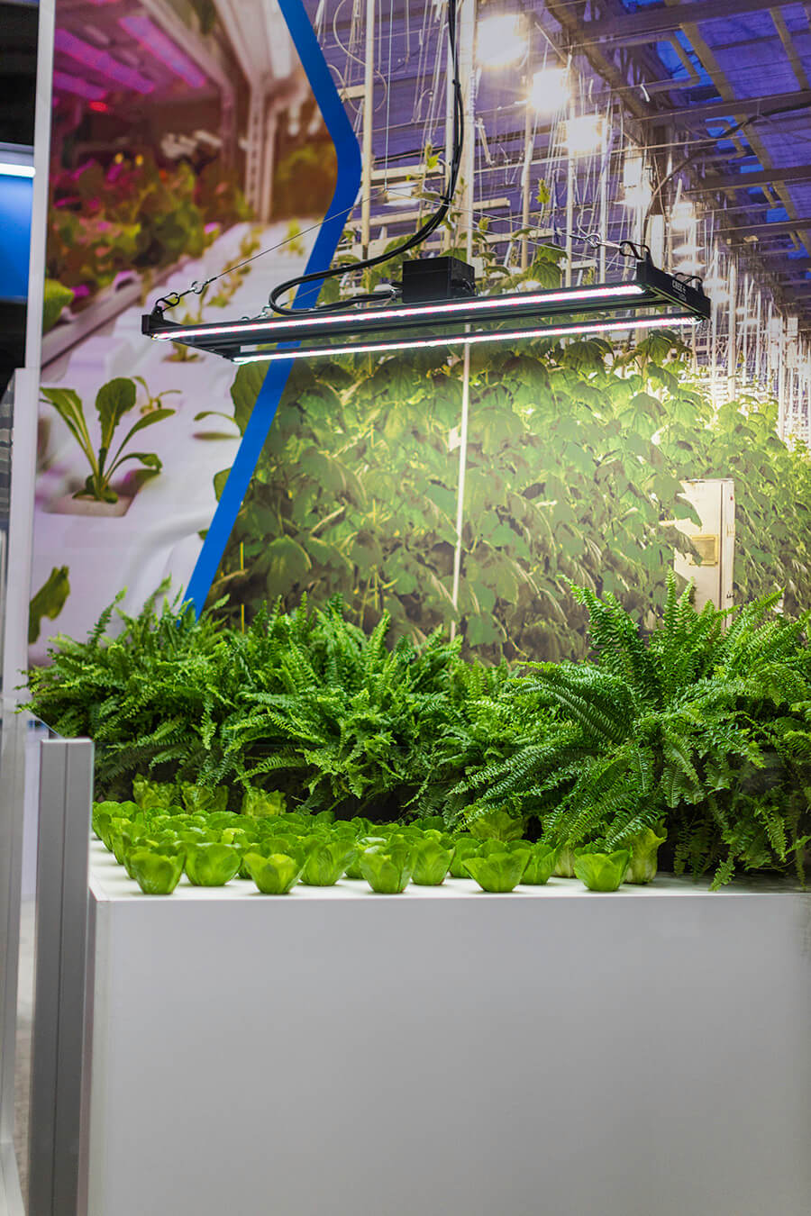 Make the World Brighter - Cree LED