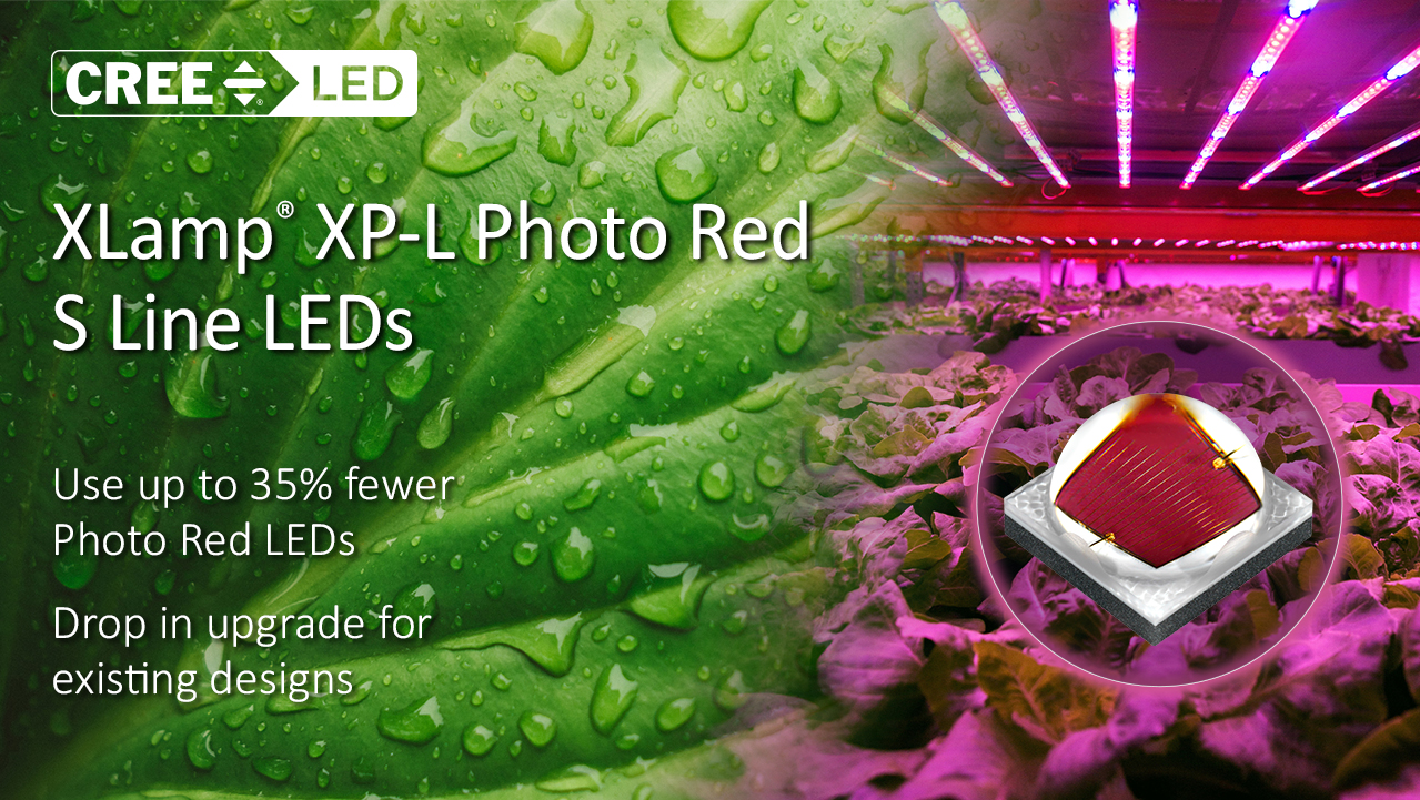 XLamp XP-L Photo Red LEDs - Cree LED